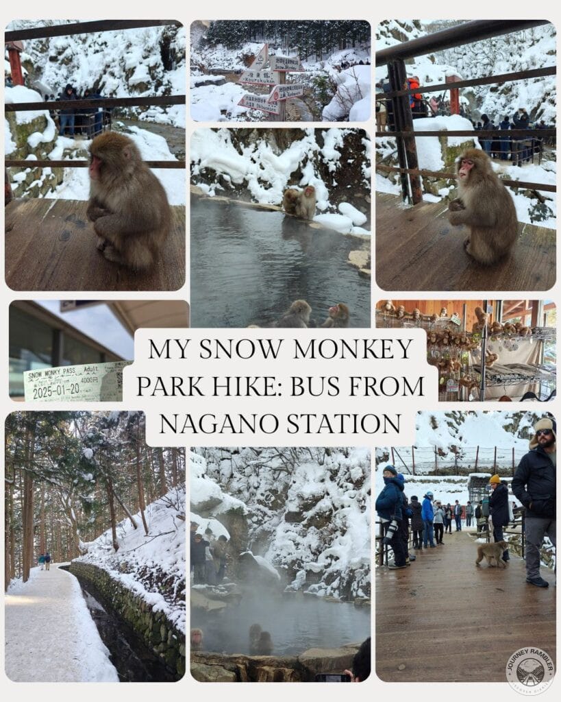 My Snow Monkey Park Hike: Bus From Nagano Station - Journey Rambler