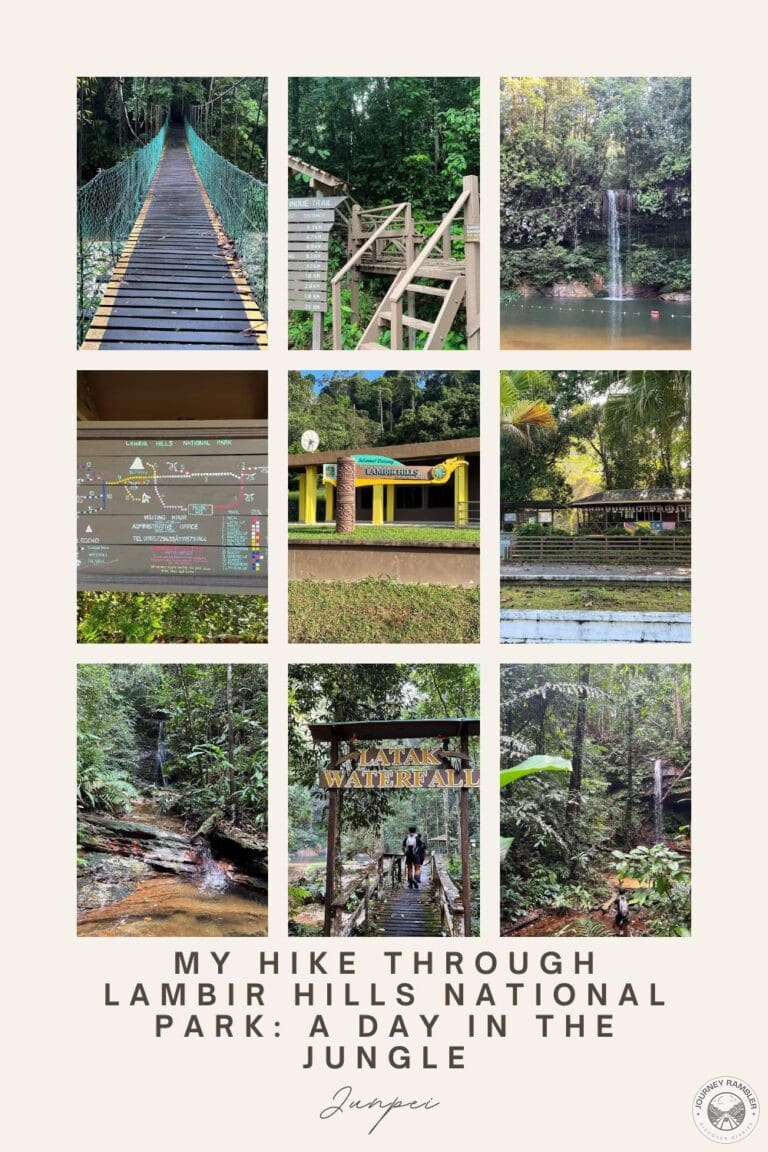 My Hike Through Lambir Hills National Park: A Day in the Jungle ...