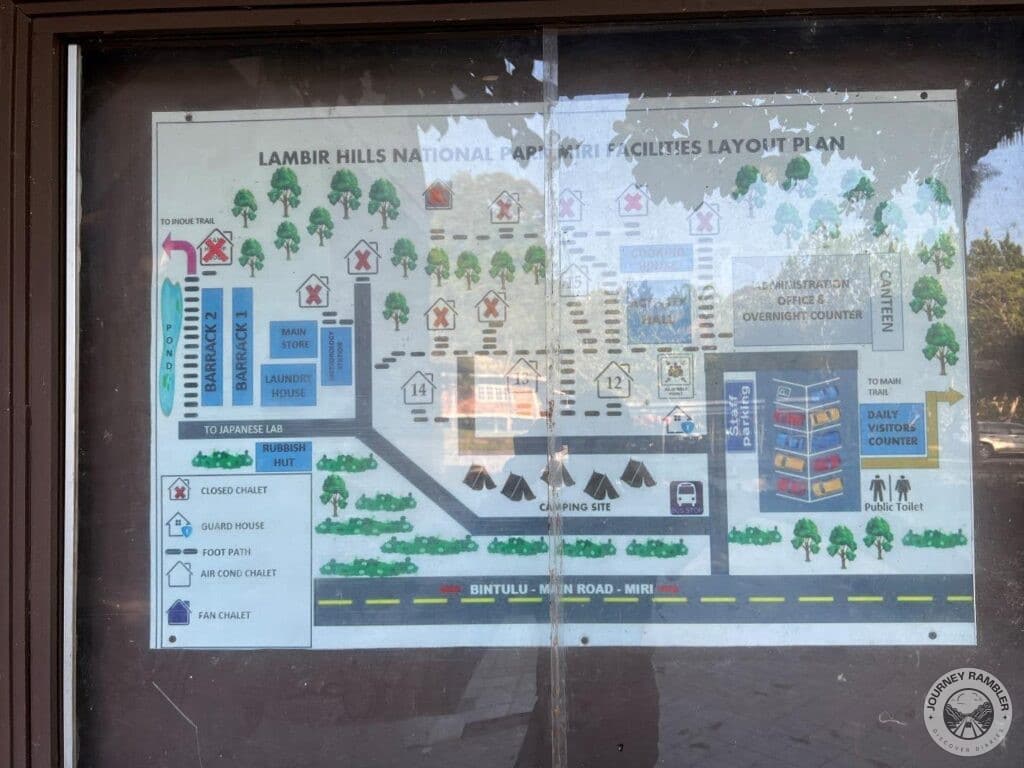 My Hike Through Lambir Hills National Park: A Day in the Jungle ...