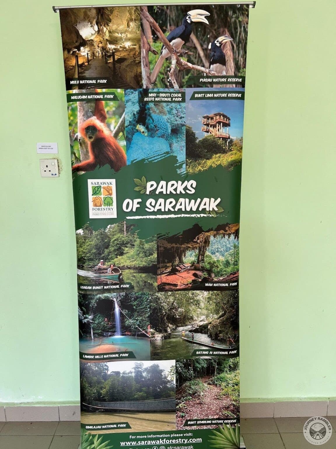 My Hike Through Lambir Hills National Park: A Day in the Jungle ...
