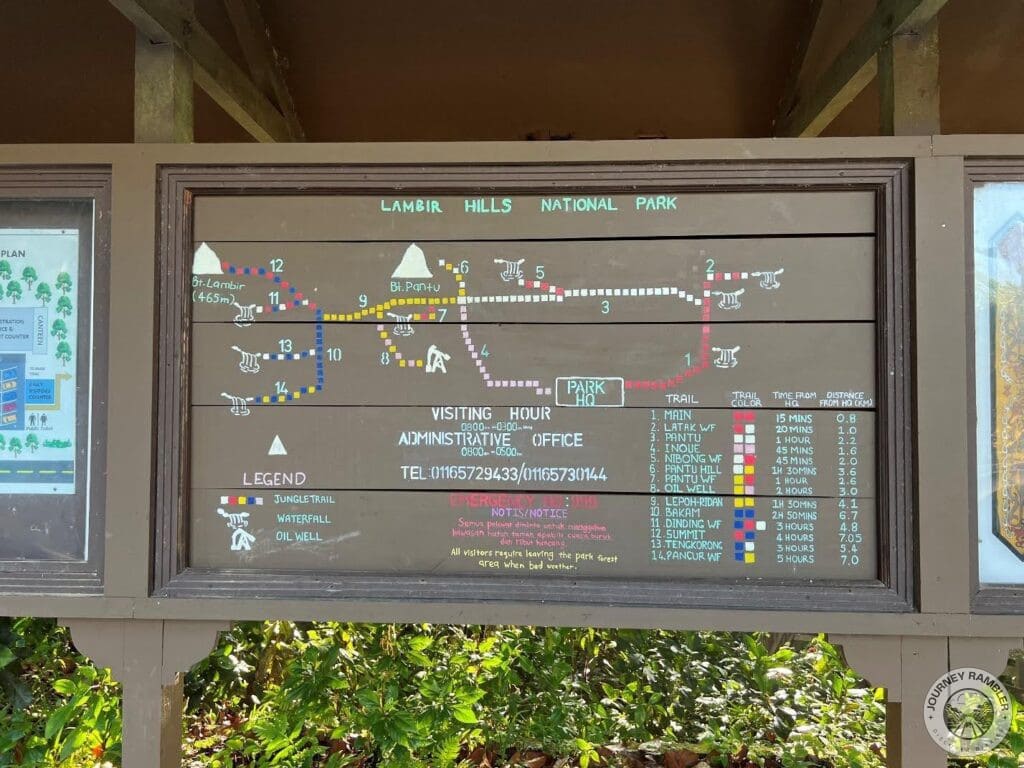 My Hike Through Lambir Hills National Park: A Day in the Jungle ...