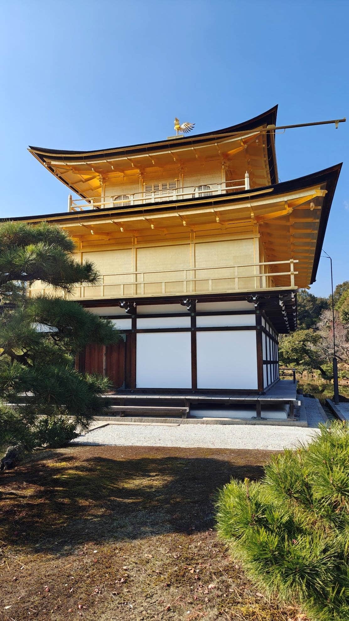 I Saw the Golden Pavilion at Kinkakuji Temple and Garden in Winter ...